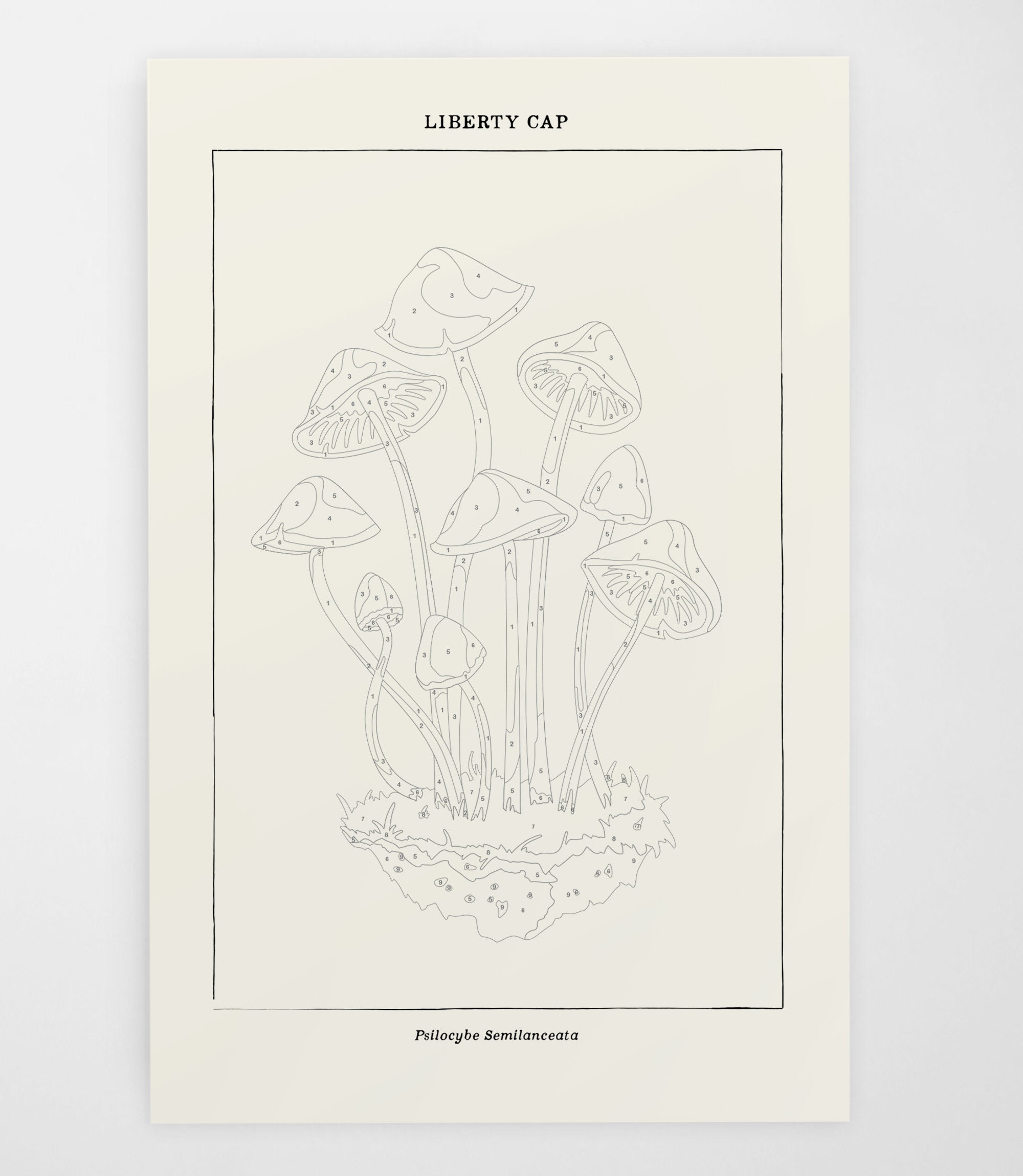 Mushroom Botanical Modern Paint by Numbers Kit - Etsy