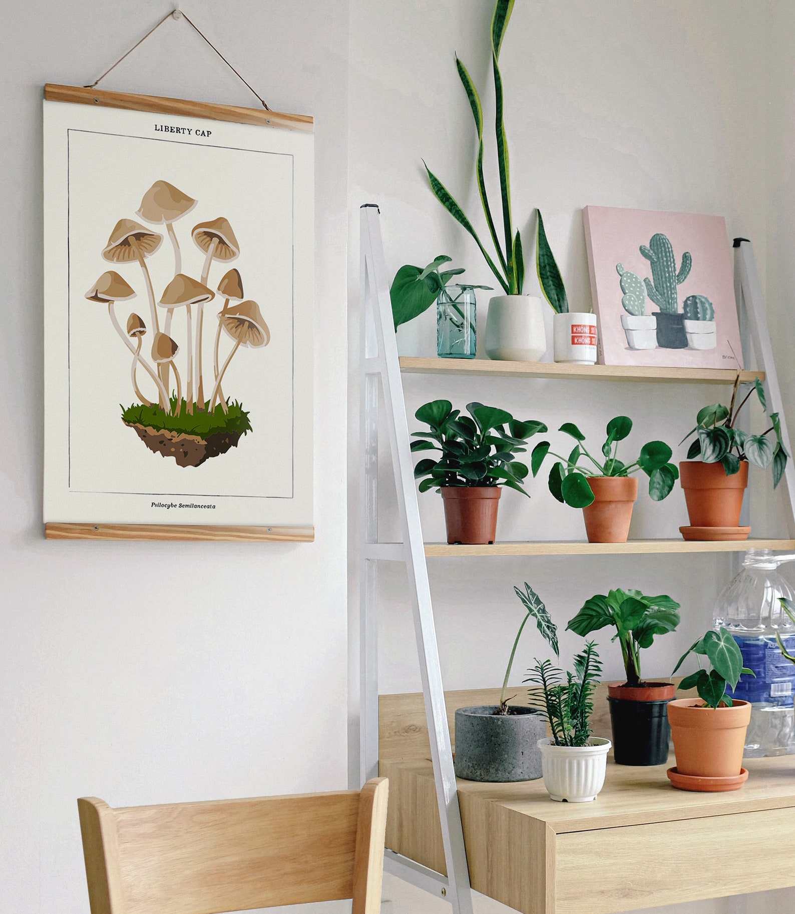 Mushroom Botanical Modern Paint by Numbers Kit - Etsy