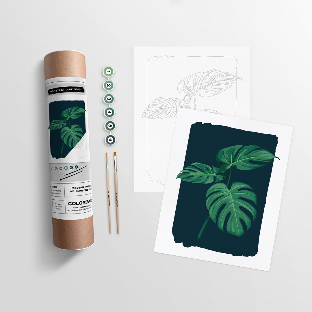 Monstera Leaf Study | Modern Paint by Numbers Kit - Etsy