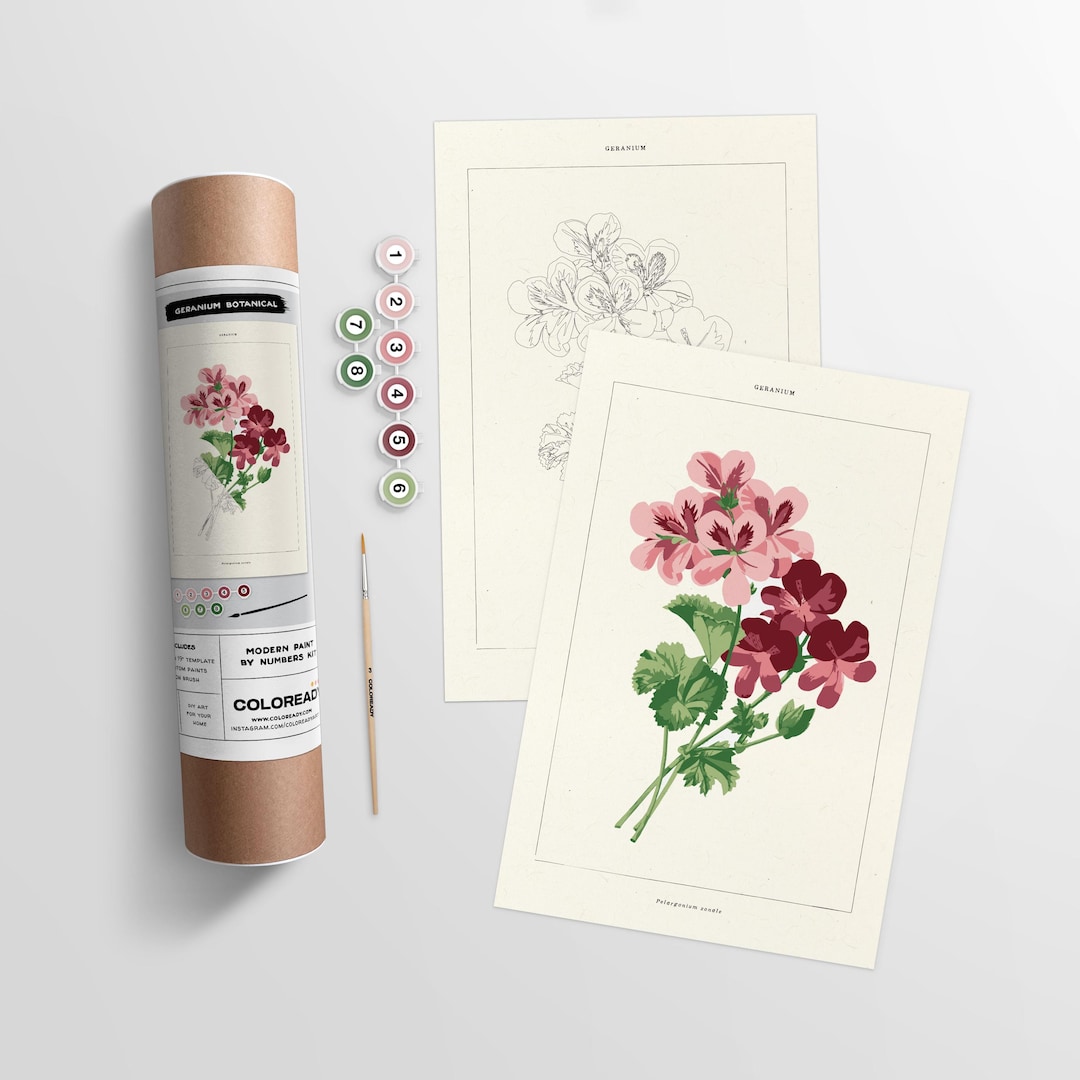 Geranium Botanical | Modern Paint by Numbers Kit - Etsy