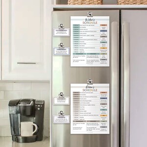 Editable Daily Schedule for Kids Printable Bundle | Weekly Chore Chart ...