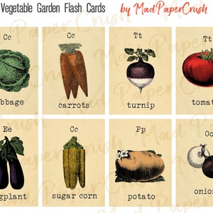 Vegetable Garden Flash Cards | Vintage Vegetable Garden | Vintage Style ...