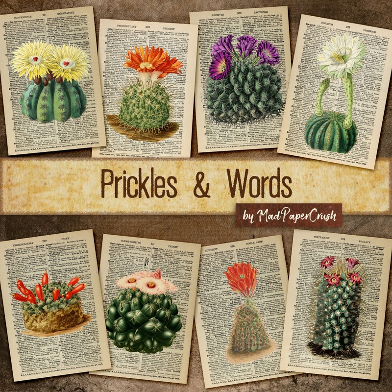 Dictionary Theme - Etsy