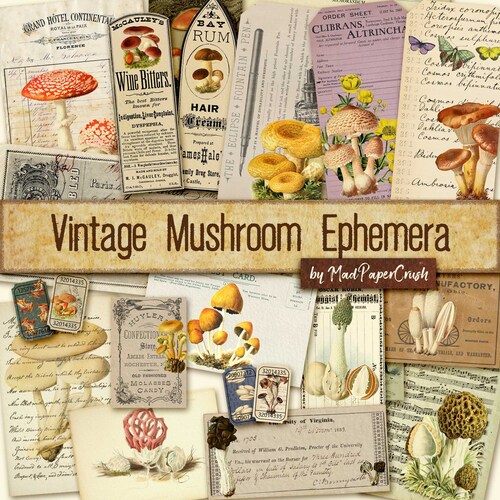 Set 5 Vintage Ephemera Printable Variety Pack Digital Download - Etsy