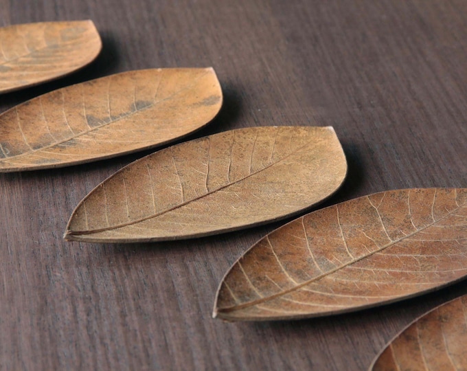 18cm / Set of 5 | Natural Leaf Plates | HOBA | Japanese Craft | Wagashi ...