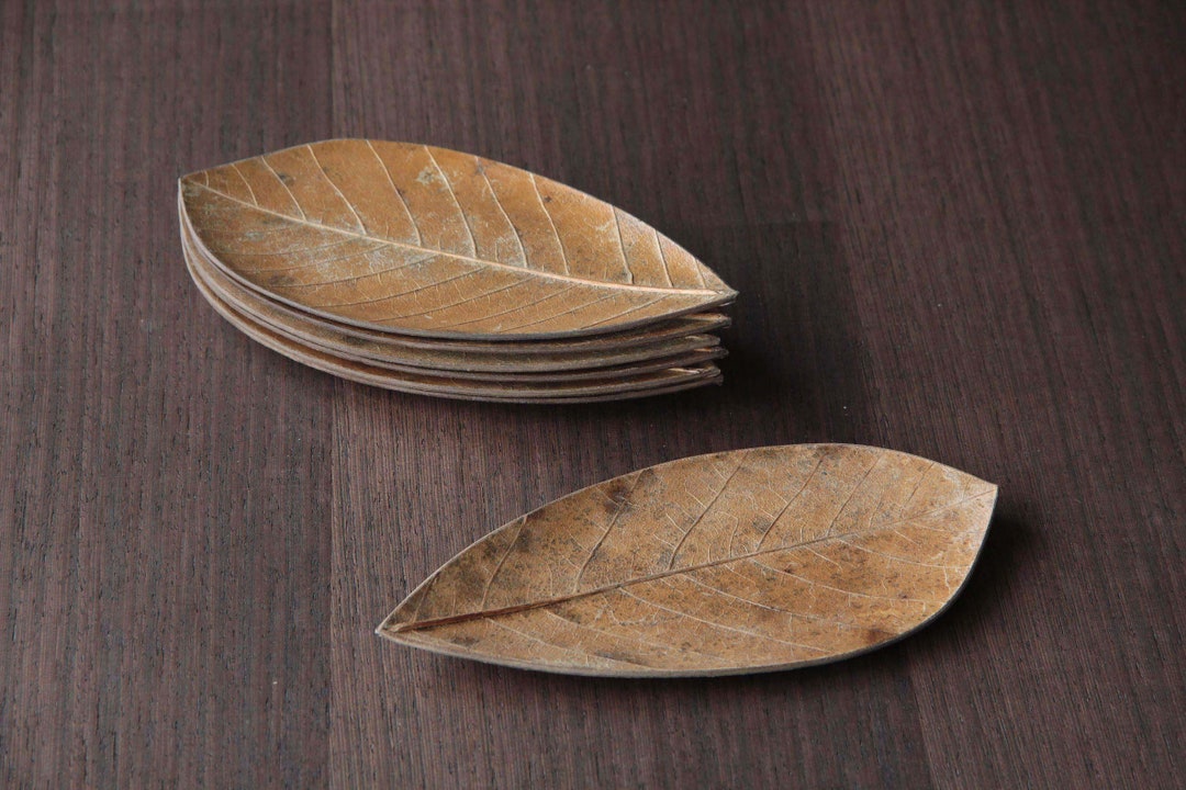 18cm / Natural Leaf Plate HOBA Japanese Tea Ware Wagashi Dish - Etsy