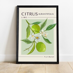 Set of 3 Citrus Fruits Poster Printable | Lemon Orange Lime Minimalist ...
