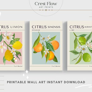 Set of 3 Citrus Fruits Poster Printable | Lemon Orange Lime Minimalist ...