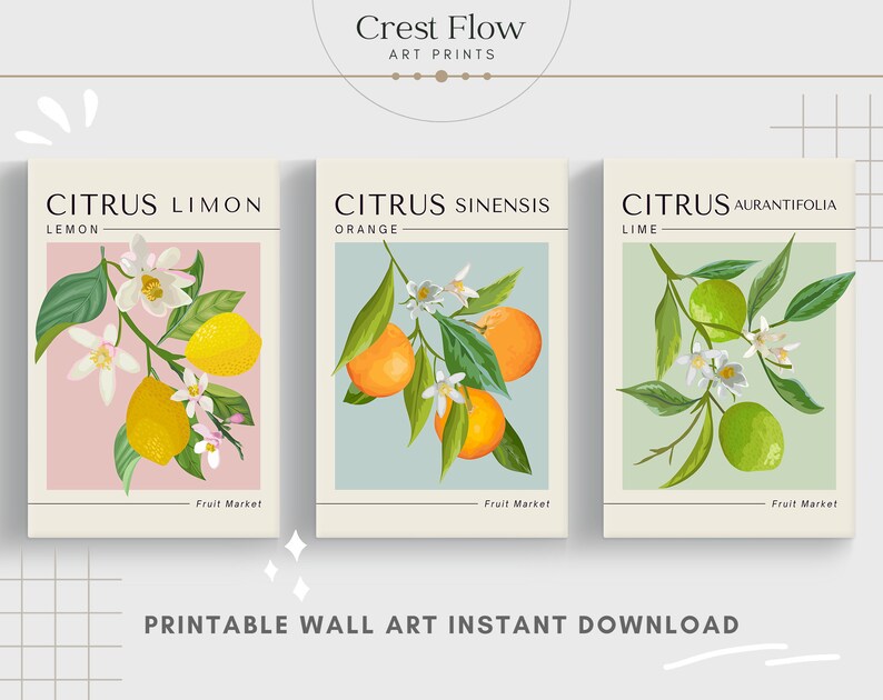 Set of 3 Citrus Fruits Poster Printable | Lemon Orange Lime Minimalist ...