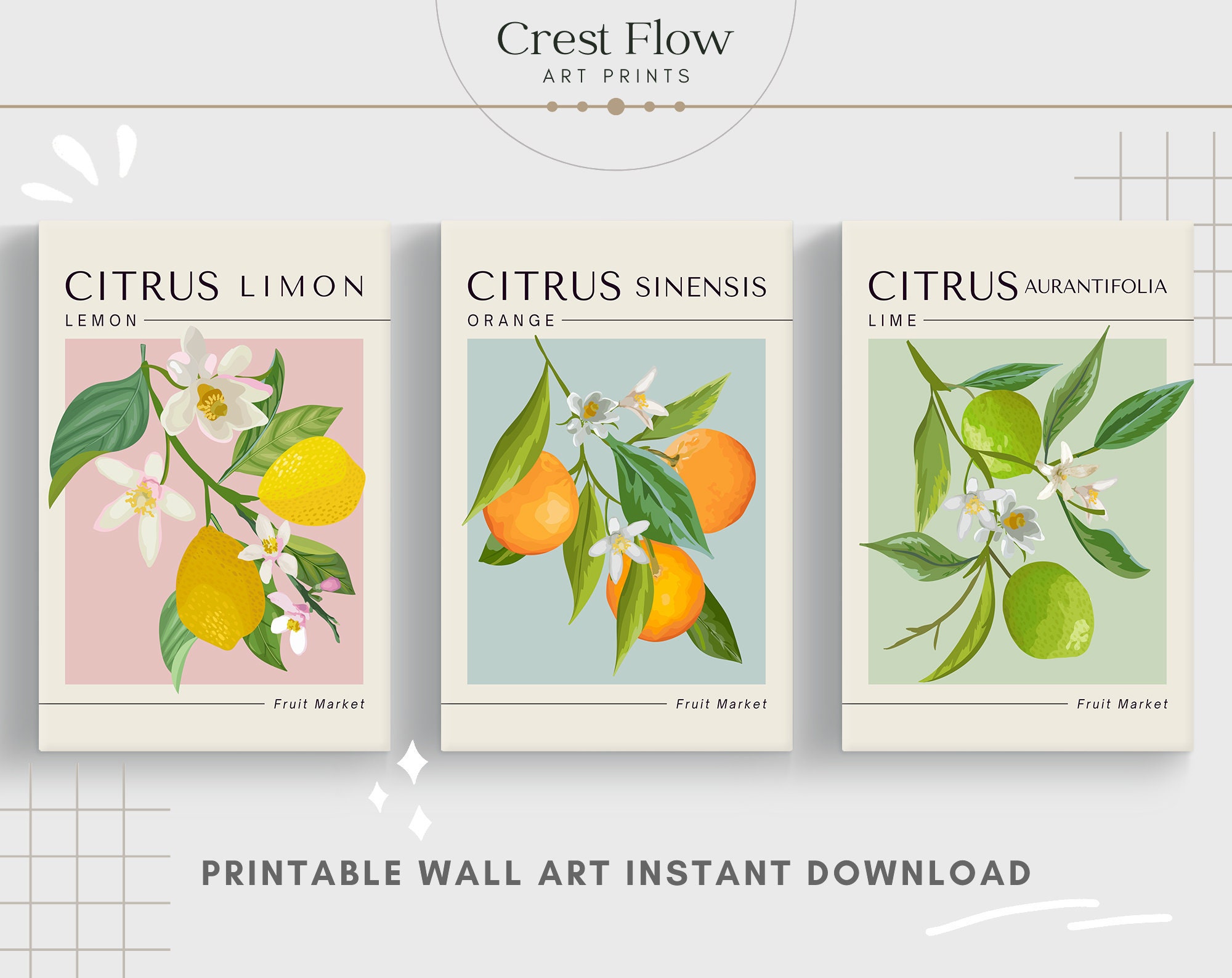 Set of 3 Citrus Fruits Poster Printable Lemon Orange Lime Minimalist ...
