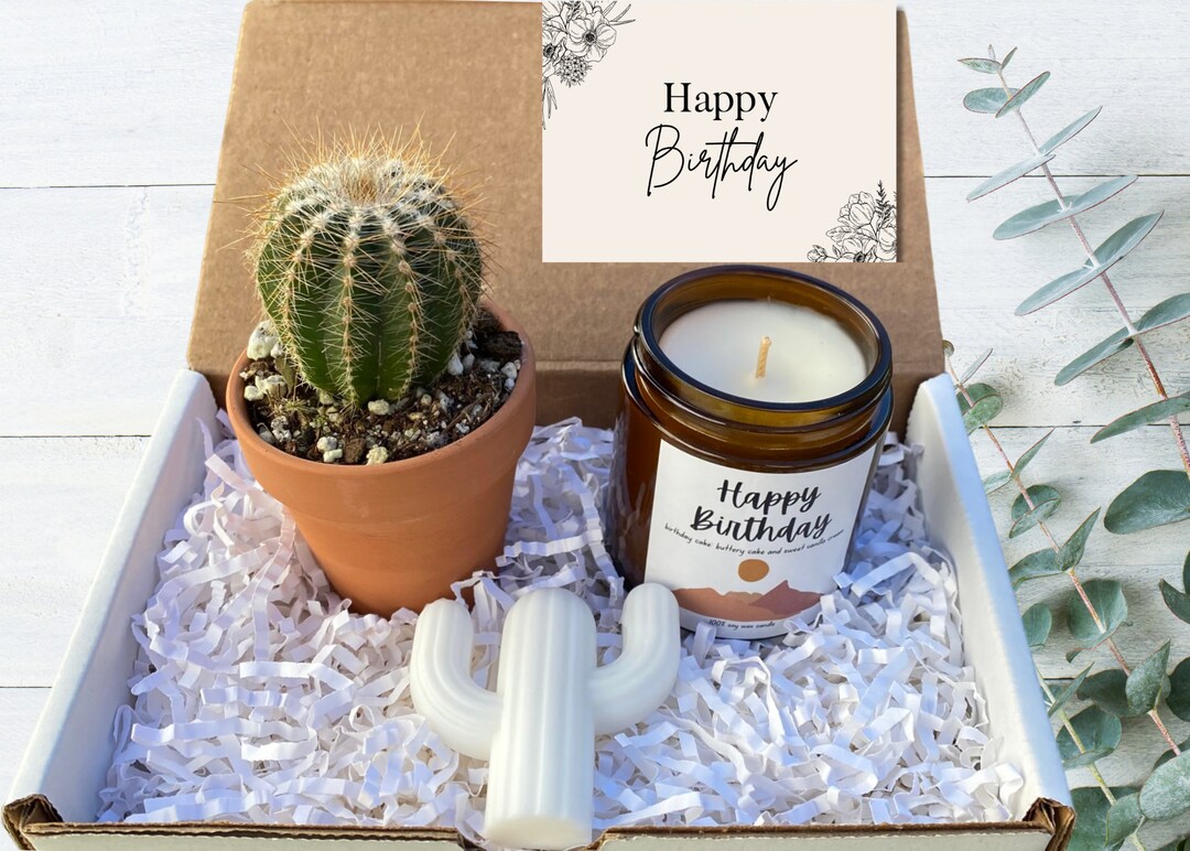 Happy Birthday Cactus Gift Box Best Friend Gift Send a - Etsy