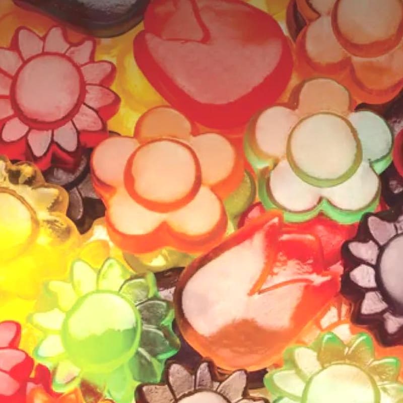 Gummy Candy Container - Etsy