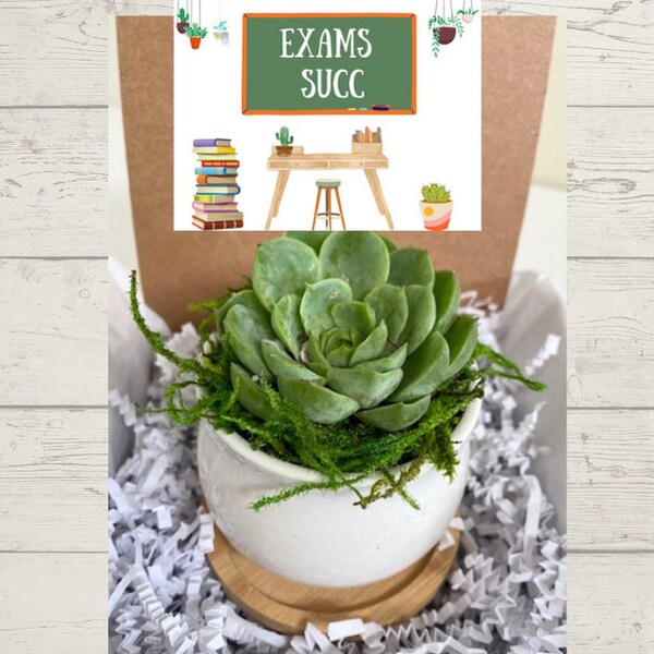 College Student Gift - Etsy