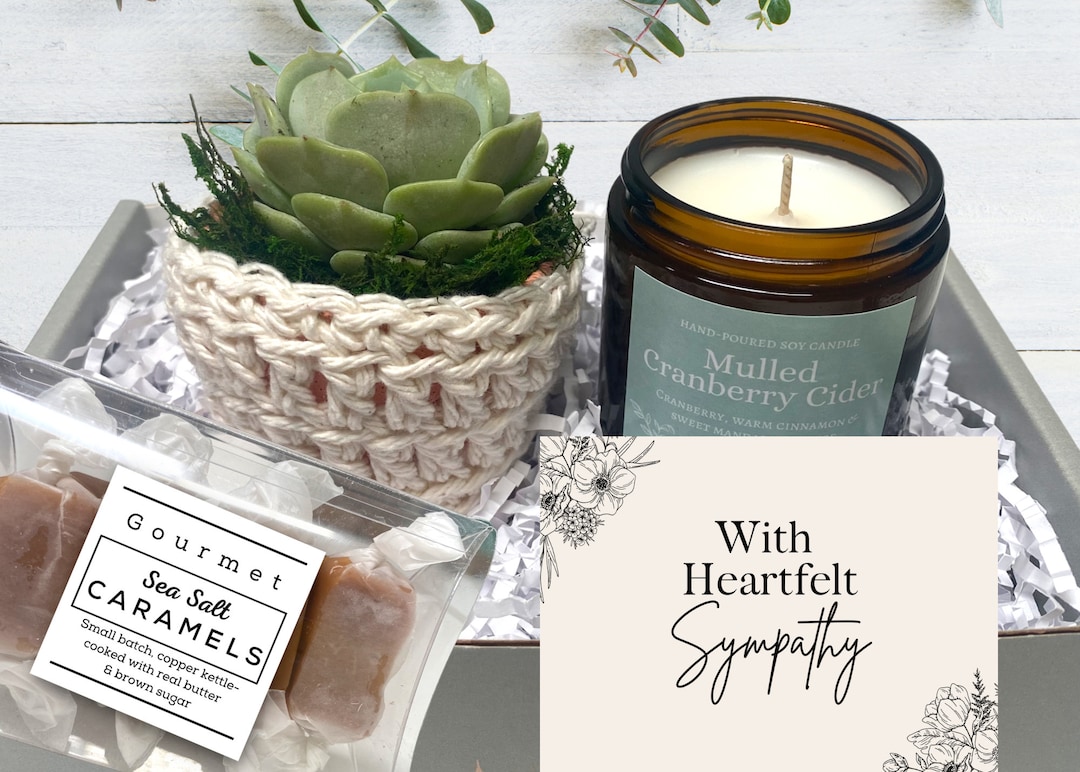 Sympathy Gift Box - Care Package - Plant Gift Box - Succulent With ...