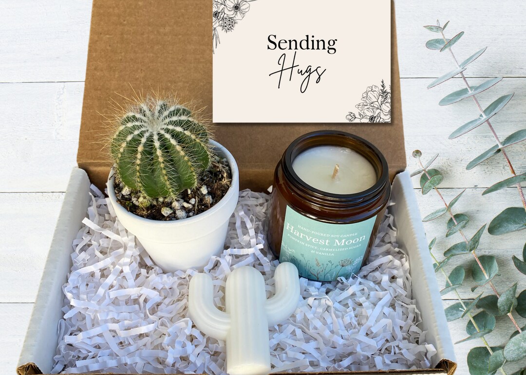 Sending Hugs Cactus Gift Cactus Gift Box Friendship Gift - Etsy