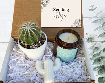 Cactus Gift - 60+ Gift Ideas for 2024
