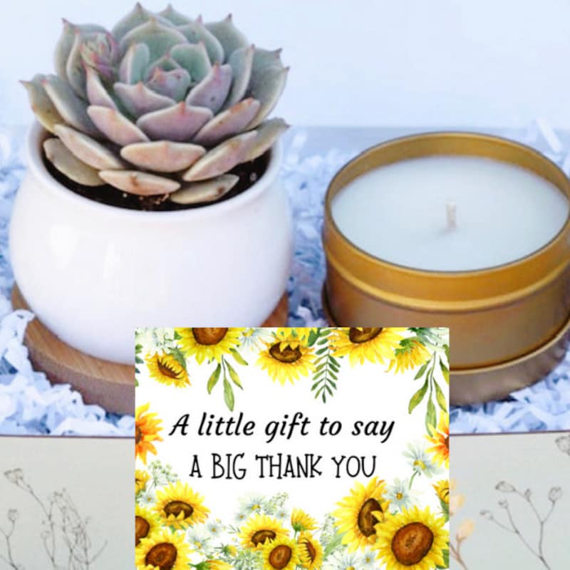 Thank You for Plants - Etsy