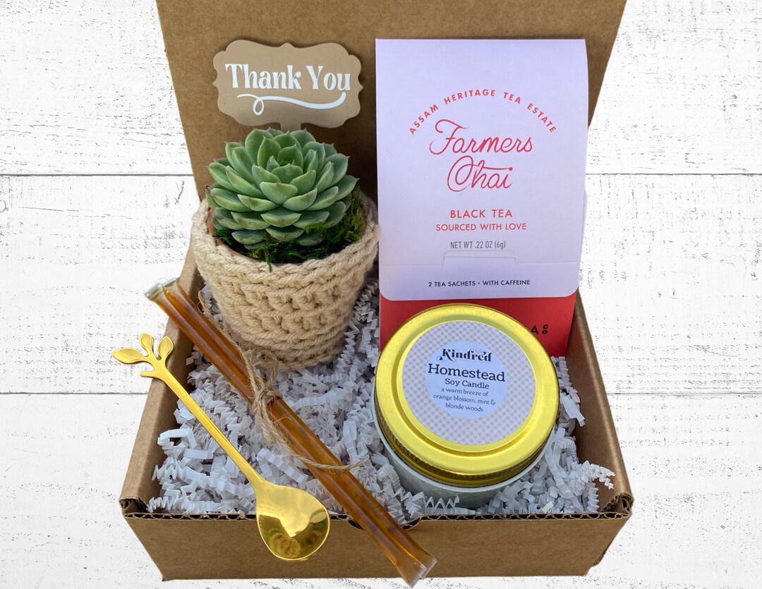 Tea & Plant Gift Box - Care Package - Plant Gift Box - Succulent With ...