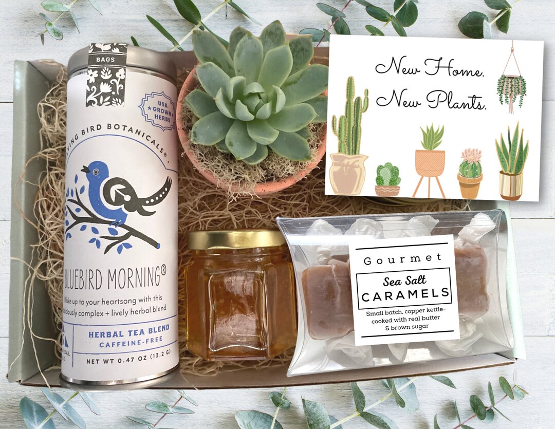 Moving Gift - Tea & Plant Gift Box - New Apartment - New Home ...