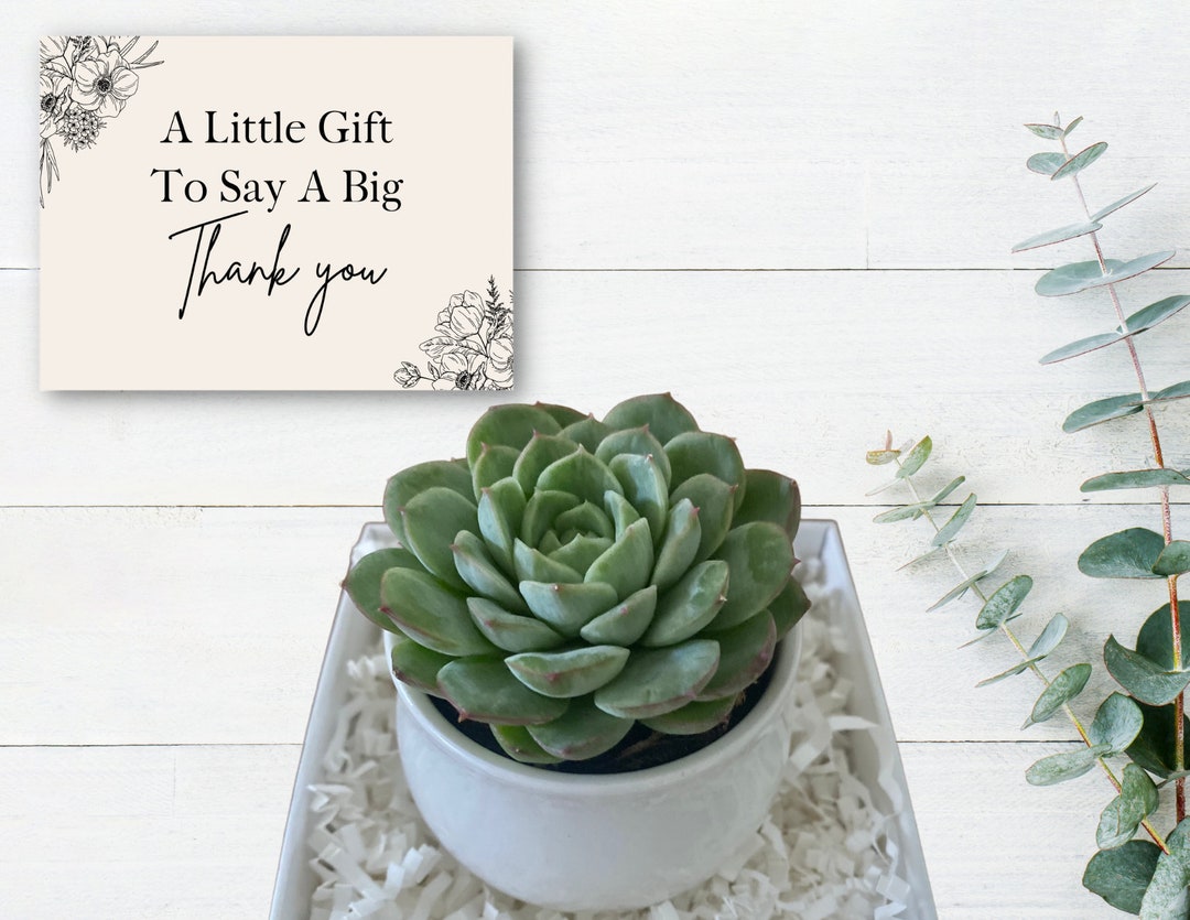 Employee Appreciation Gift - Employee Plant Gift - Thank You Employee ...