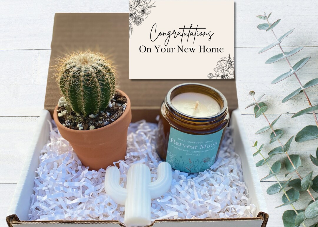 New Home Gift Cactus Gift Box for New Home Housewarming - Etsy