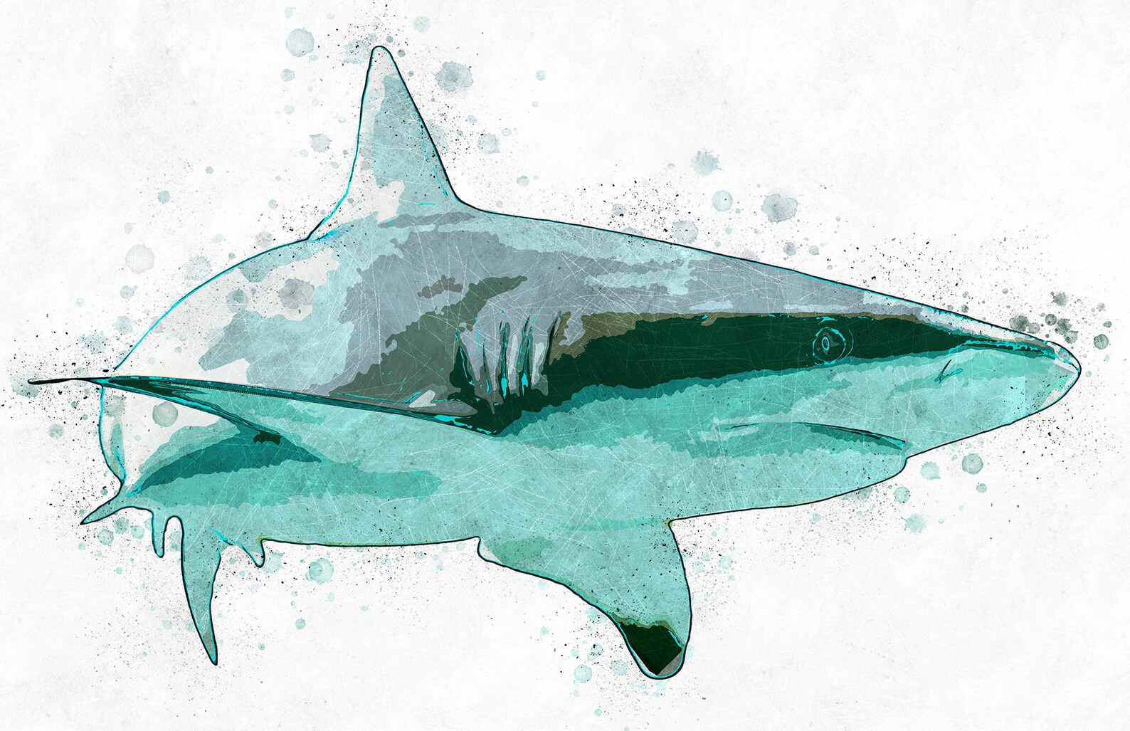 Shark Wall Decor Digital Print 10x8, 17x11, 24x18 Abstract, Color ...