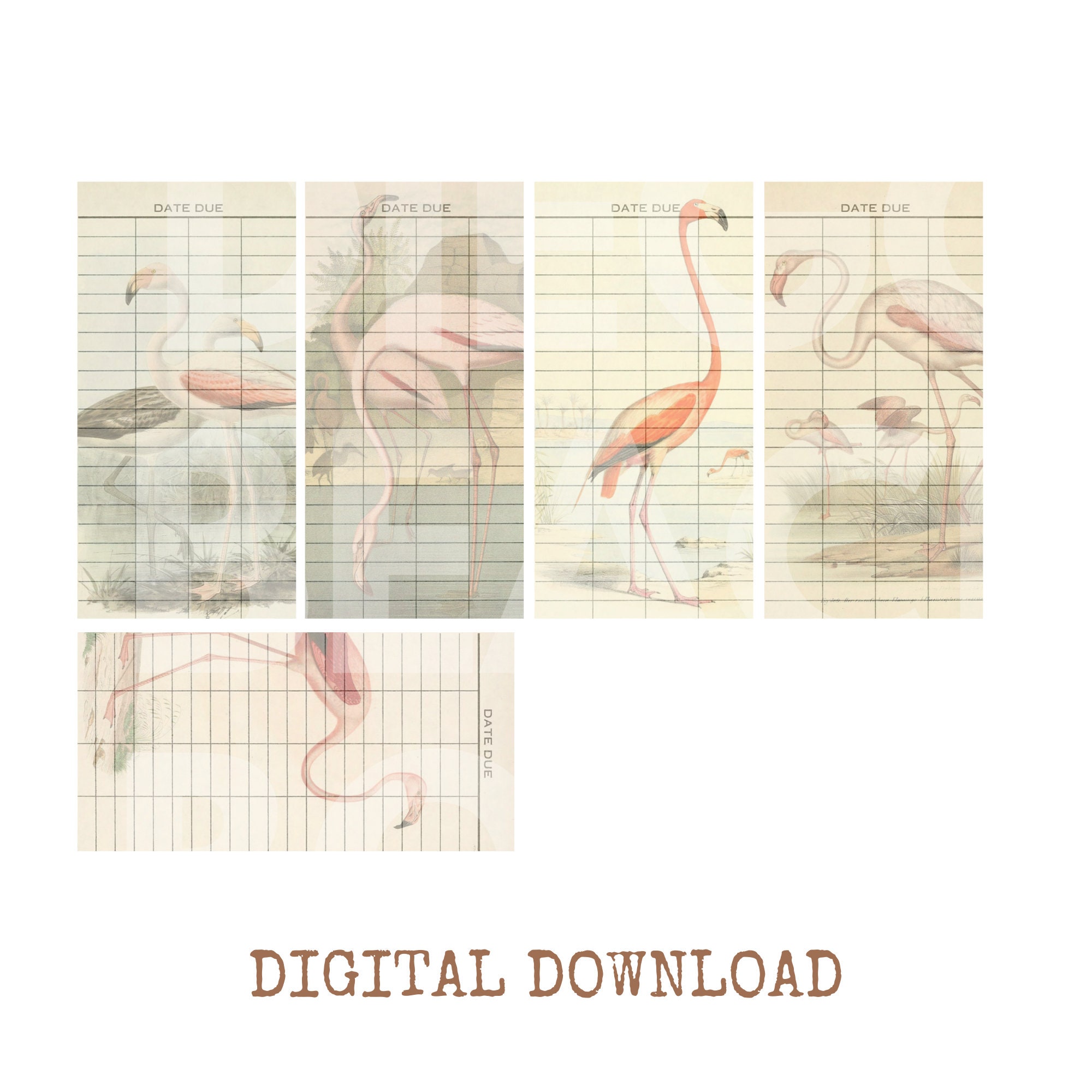 Flamingo Library Card Vintage Printable Set, Tropical Ephemera ...