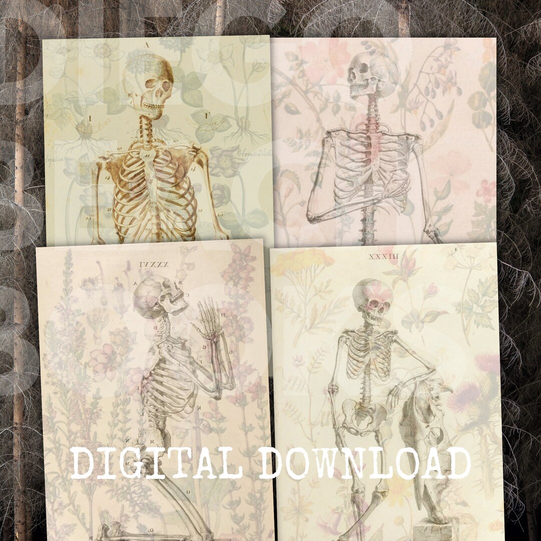 Bones and Botanicals Vintage Skeleton and Vintage Botanical Flowers ...