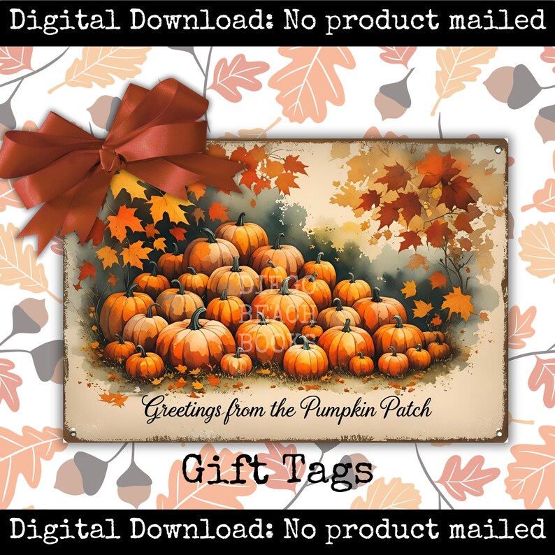 Greetings From the Pumpkin Patch Printable Postcards - Etsy