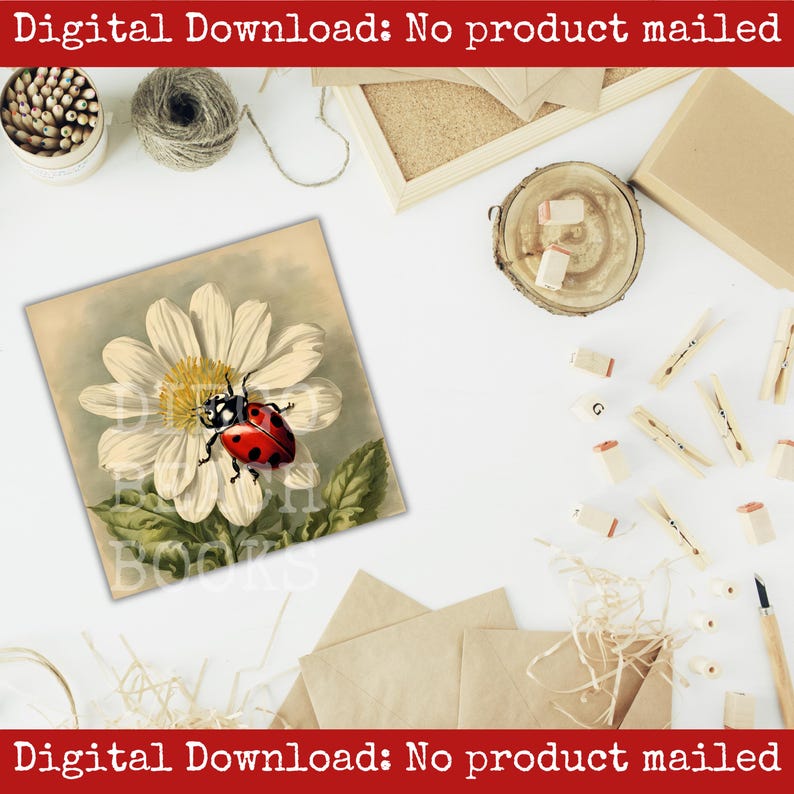 Ladybug Image Pack Printable Vintage Garden Scrapbook Cards Junk ...