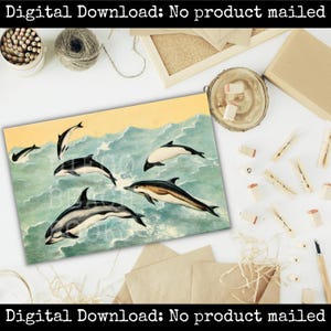 The Charlotte Collection Beach Girl Vintage Ephemera Kit - Etsy