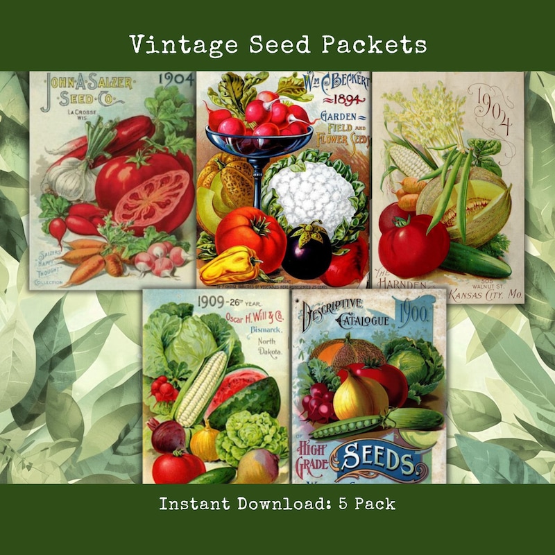Vintage Seed Packets - Etsy
