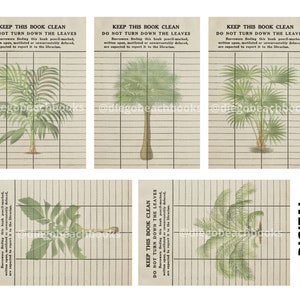 Palm Trees Library Card Vintage Printable Set, Tropical Junk Journal ...