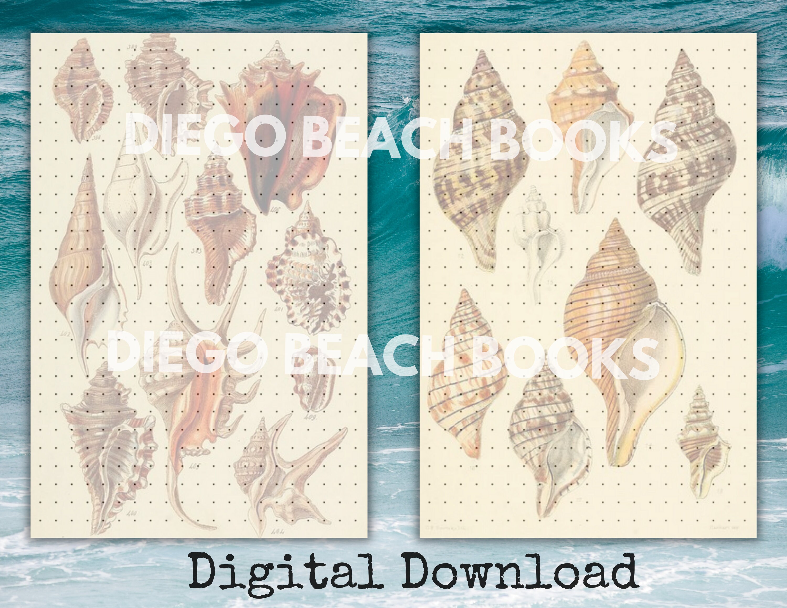 Seashell Bullet Journal Paper Planner Printable Set Ocean - Etsy
