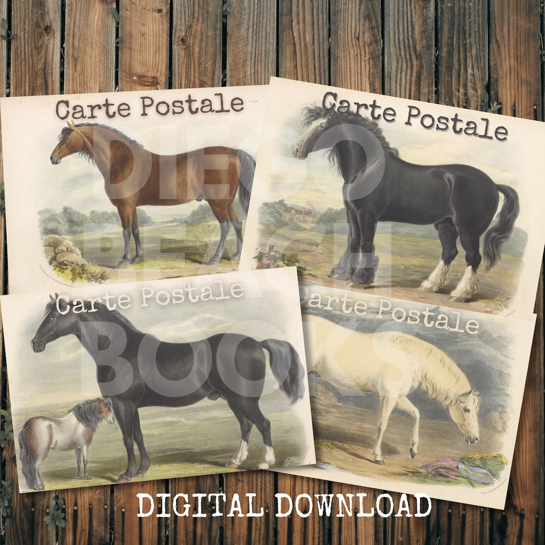 Vintage Horse Postcard Printable Set, Vintage Horse Post Card Set ...