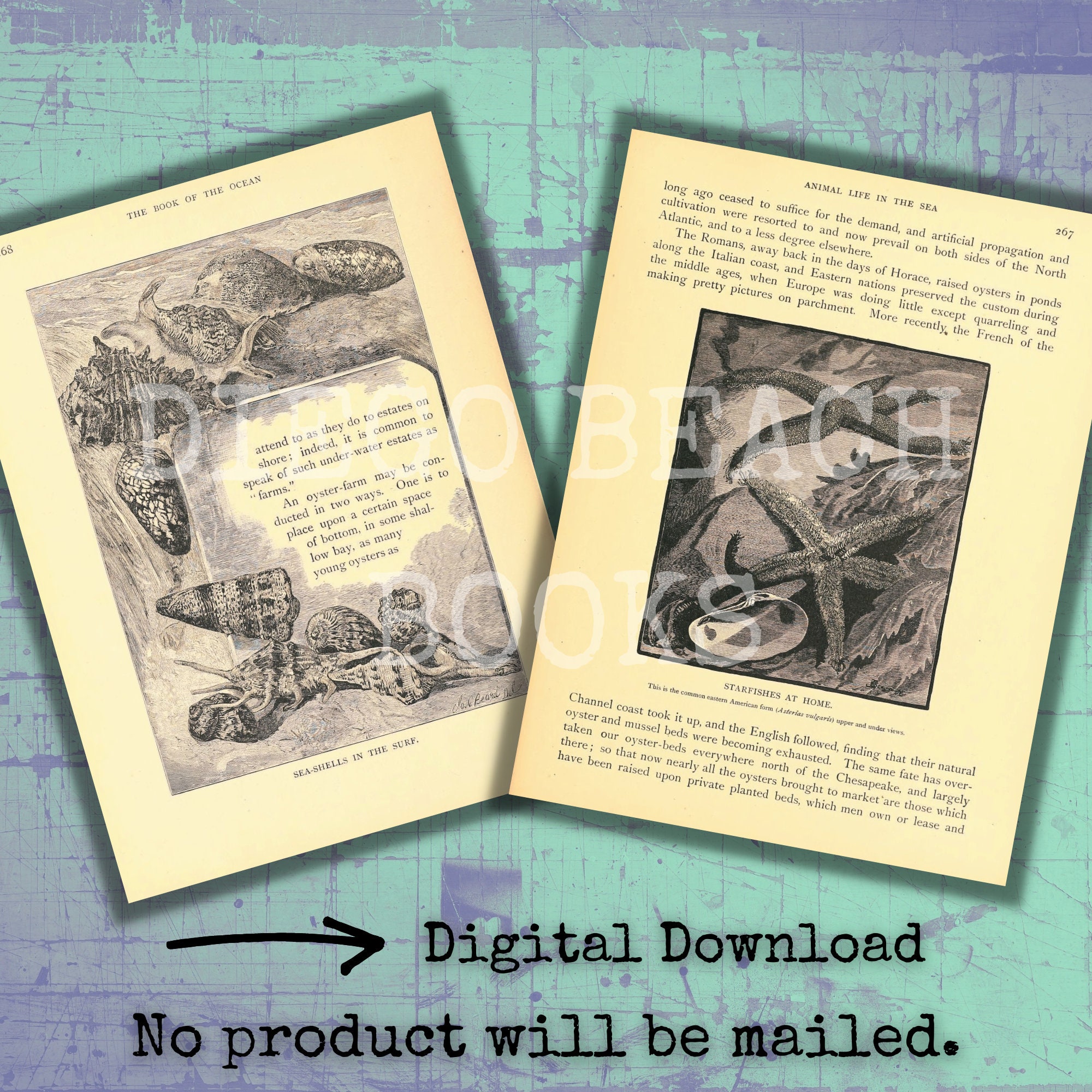 Vintage Ocean Book Pages 10 Piece Digital Download Set Vintage Nautical ...