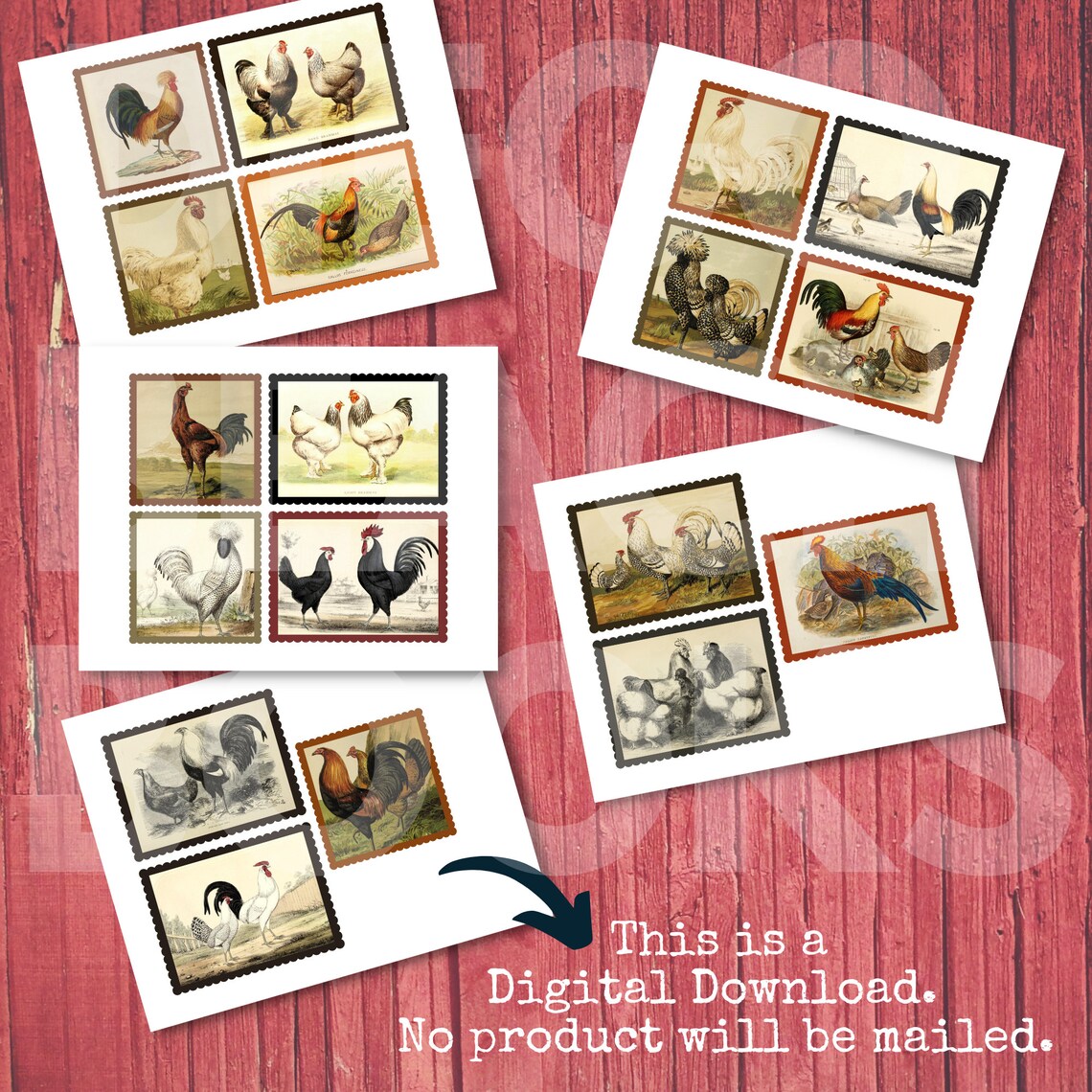 Chicken Country Postage Stamp Printable Set, Farm Ephemera, Chicken ...