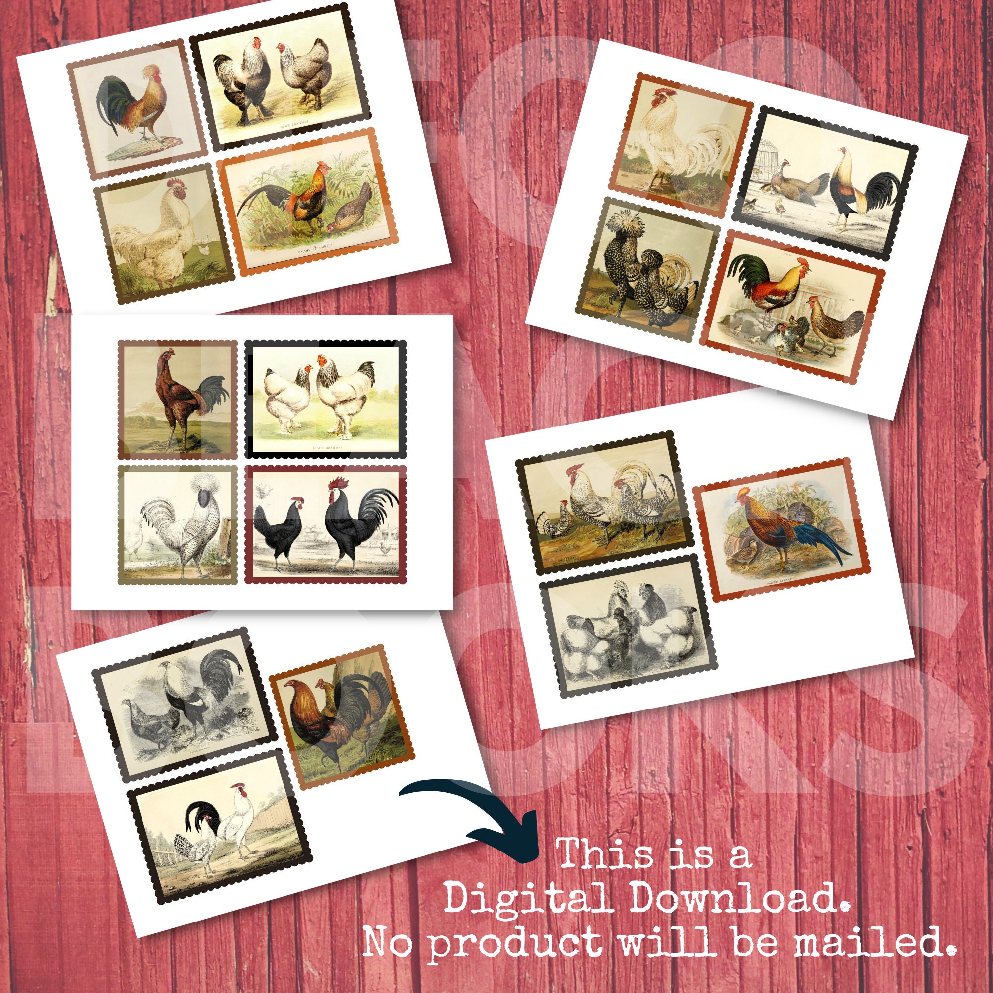 Chicken Country Postage Stamp Printable Set, Farm Ephemera, Chicken ...