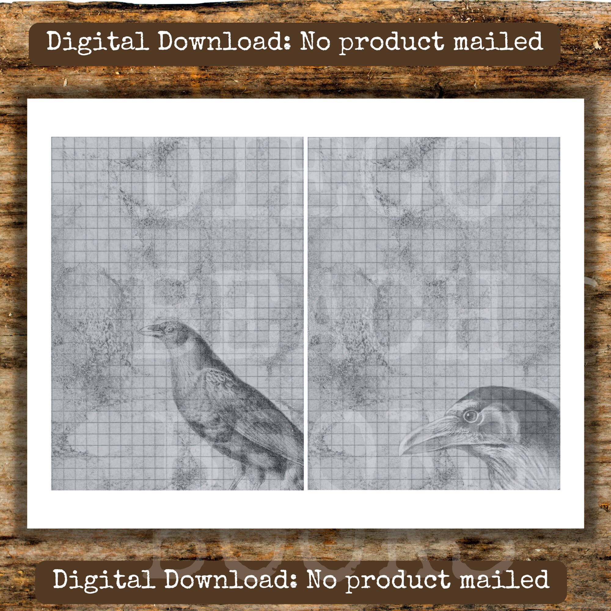 Vintage Crow Grid Paper Printable Ephemera Vintage Crow - Etsy