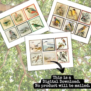 18 Piece Beautiful Birds Postage Stamp Inspired Journaling Cards ...