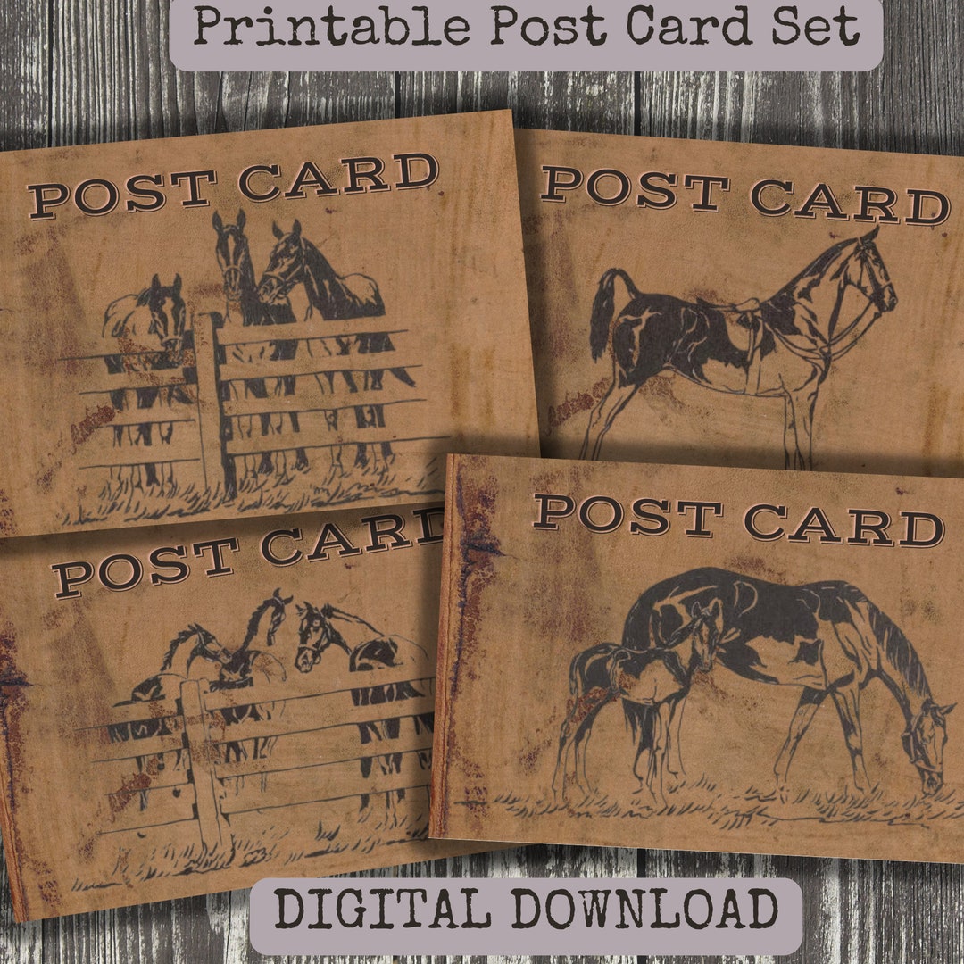 Vintage Horse Printable Post Card Set Vintage Horse Ephemera - Etsy