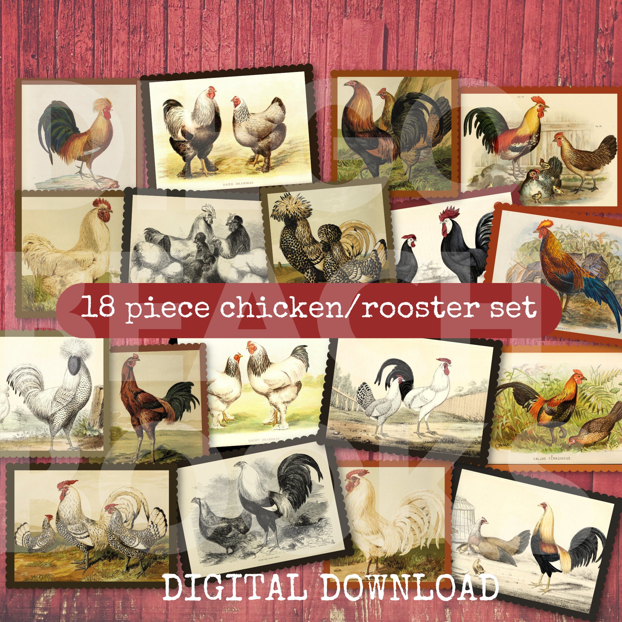 Chicken Country Postage Stamp Printable Set, Farm Ephemera, Chicken ...