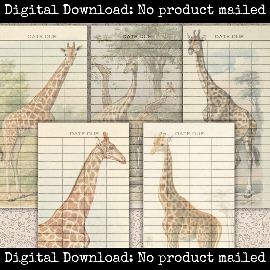 Giraffe Library Card Vintage Printable Safari Ephemera - Etsy