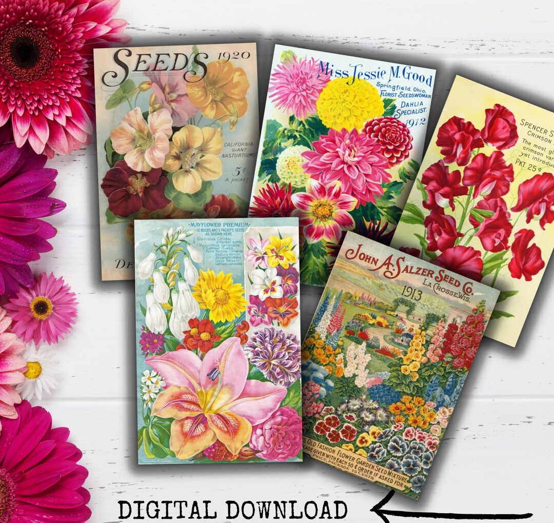 Flower Seed Packet Seed Catalogue Advertisement Vintage Printable Set 2 ...