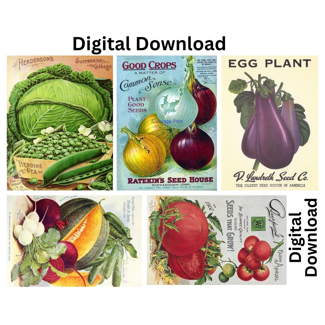 Vintage Vegetable Seed Packet/catalogue Advertisement Digital Download ...