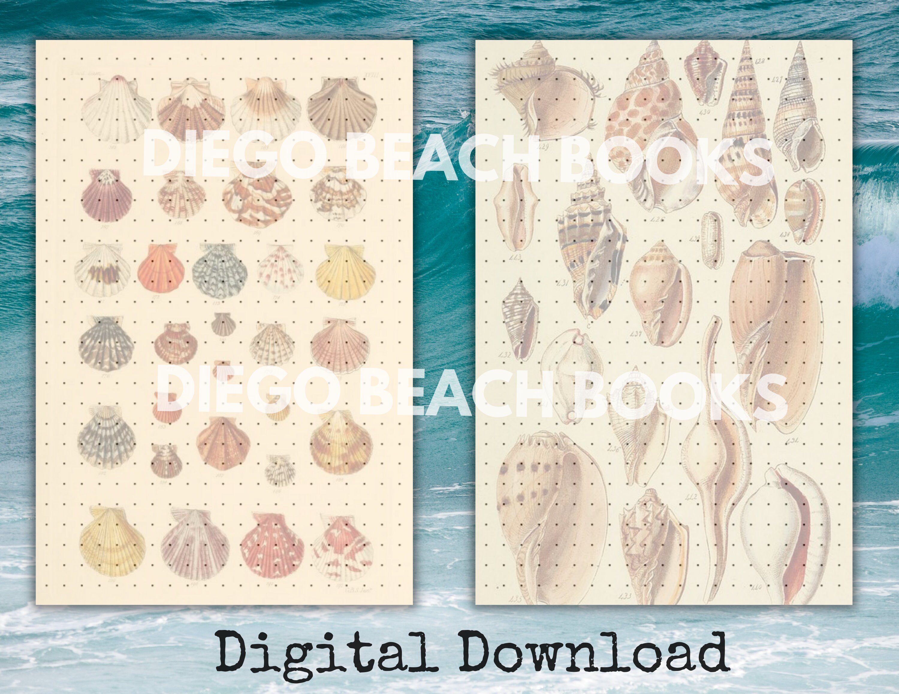 Seashell Bullet Journal Paper Planner Printable Set Ocean - Etsy