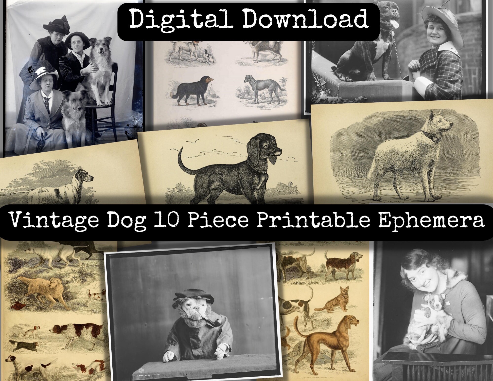 Vintage Dogs 10 Piece Digital Download Ephemera Pack - Etsy