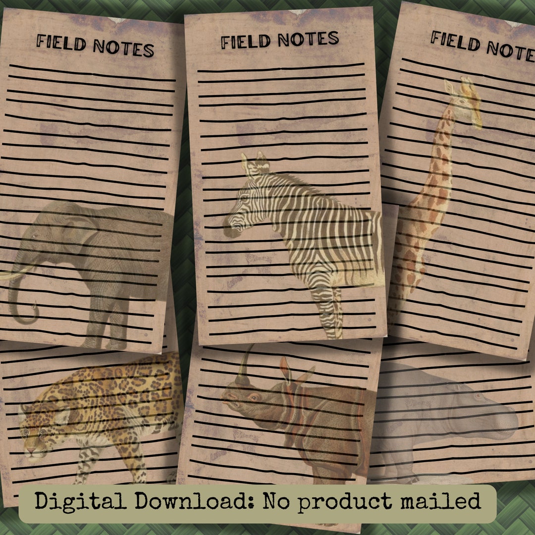 Safari Animal Field Notes Printable Set, Safari Ephemera, Safari Junk ...