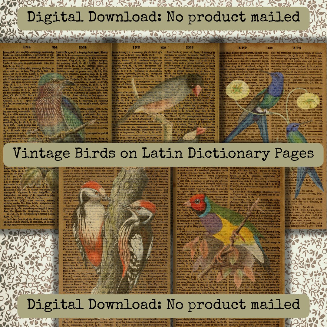 Vintage Birds Printed on 18th Century Latin Dictionary Pages, Grungy ...