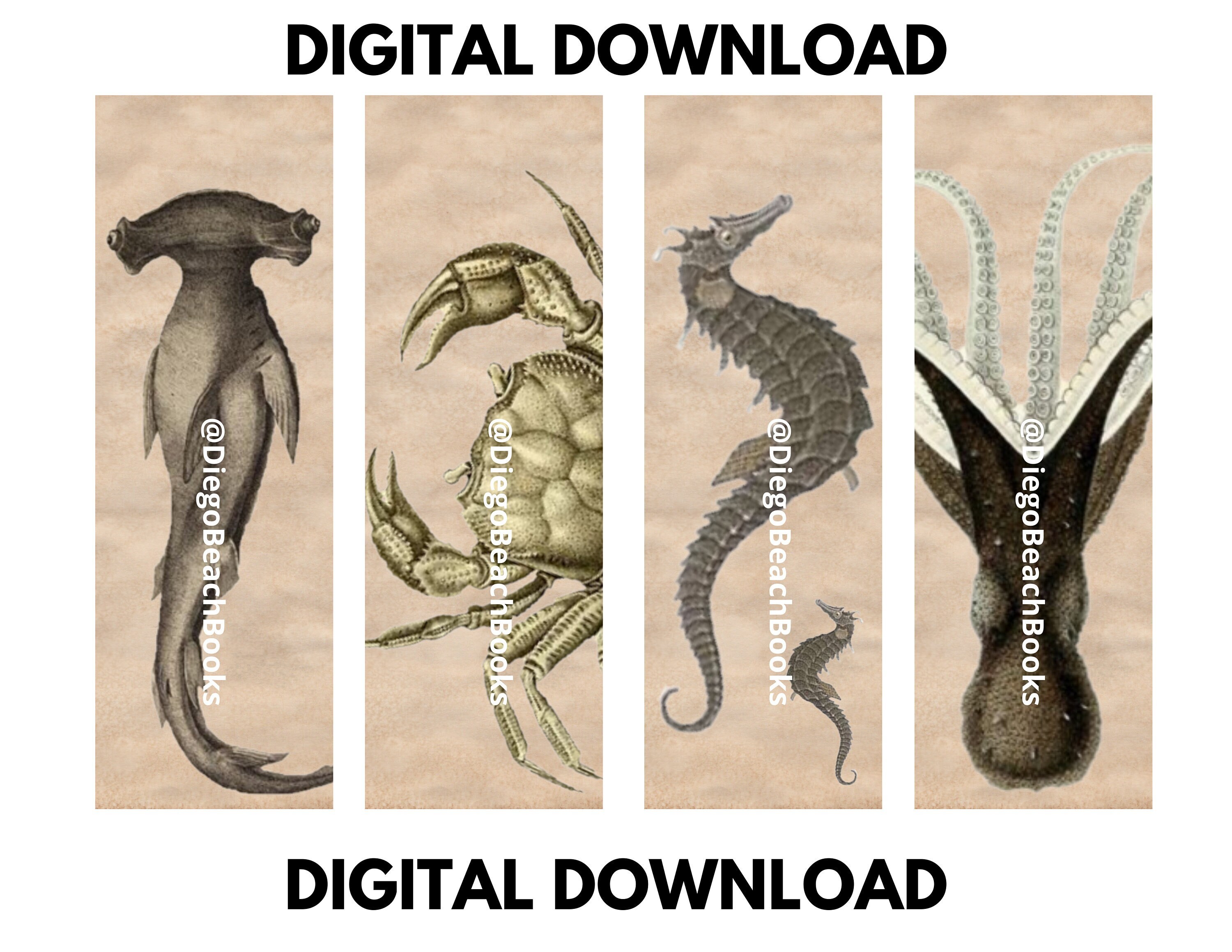 Sea Life Bookmark Vintage Printable Set Ocean Ephemera - Etsy